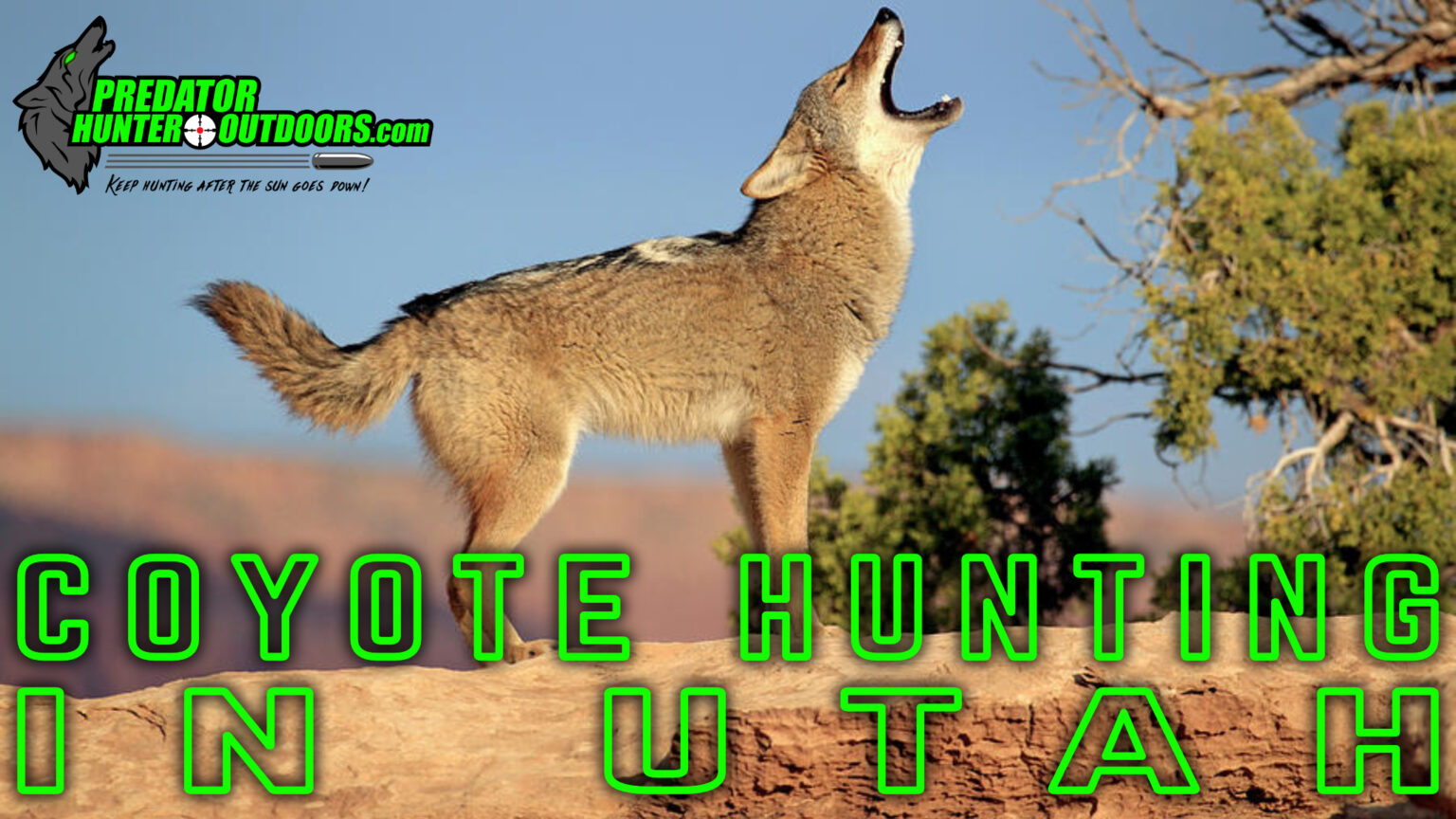 Coyote Hunting in Utah