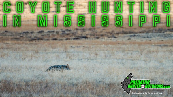 Coyote Hunting in Mississippi