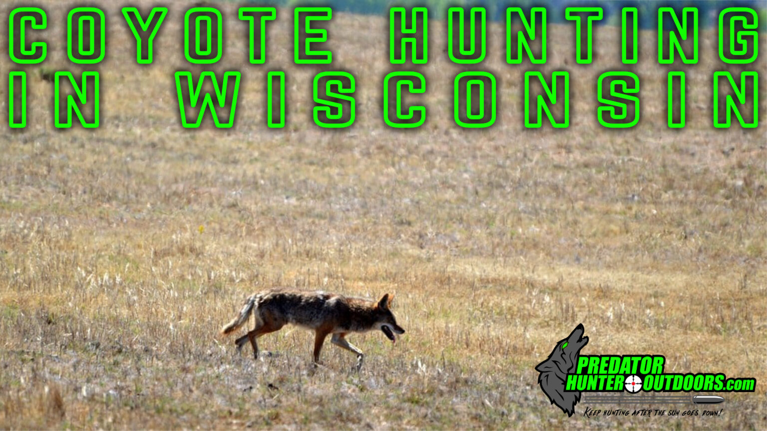 Coyote Hunting in Wisconsin